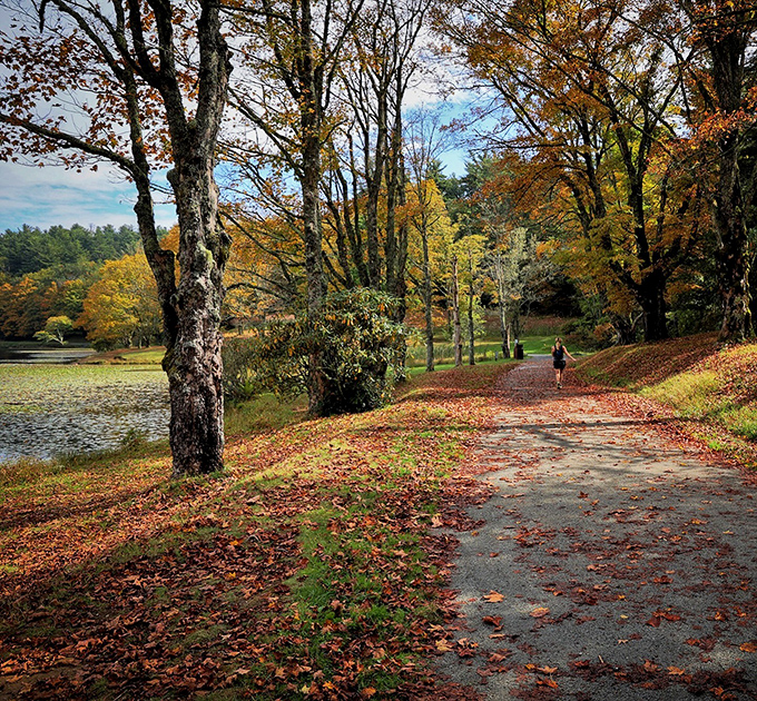 Fall's greatest fashion show happens right here. Nature's runway displays autumn colors that would make even Milan's designers stand in applause.