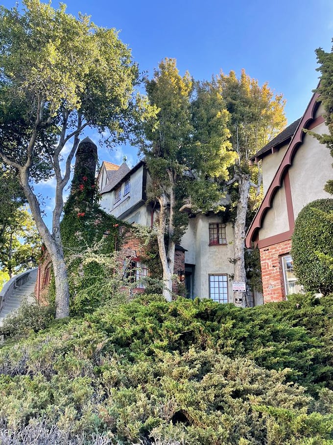 Nature doesn't just surround these buildings—it embraces them. Trees and structures have grown old together, creating a partnership that no developer could plan.