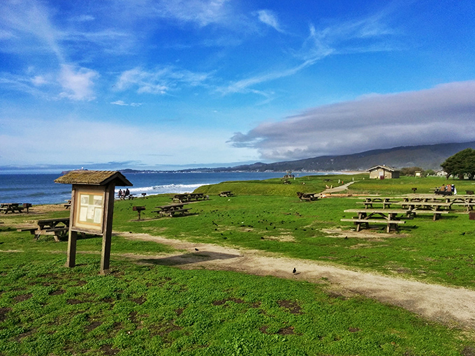 Picnic tables with million-dollar views. The kind of park where sandwiches taste better and conversations flow easier.