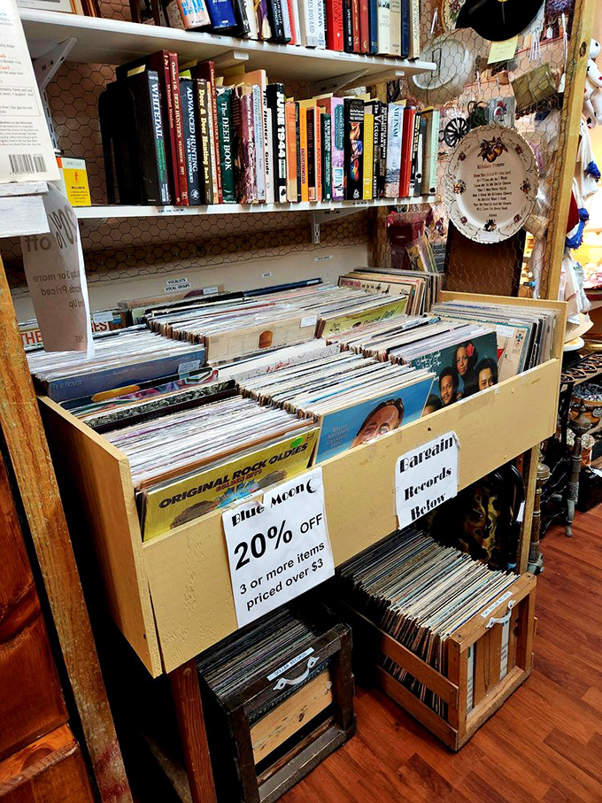Vinyl enthusiasts, prepare to lose track of time! Those bargain bins might contain that obscure album your collection has been missing.