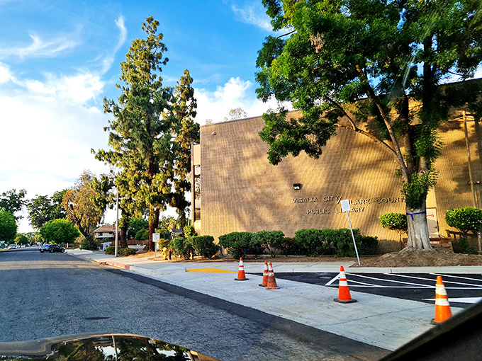 Libraries where you can park, browse books, and enjoy silence without urban chaos interrupting.