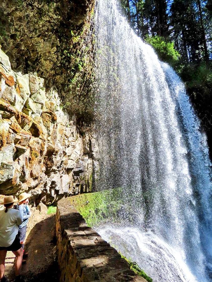 Excuse me while I walk behind this waterfall. Only at Silver Falls can you experience nature's most impressive backstage pass.