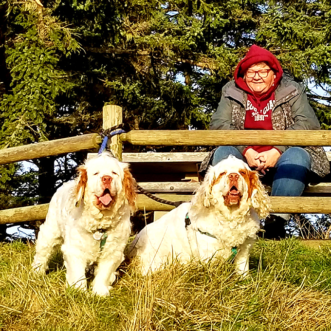Dogs living their best lives at Cape Arago. That expression says, "Yes, we know how lucky we are, and yes, we deserve it."