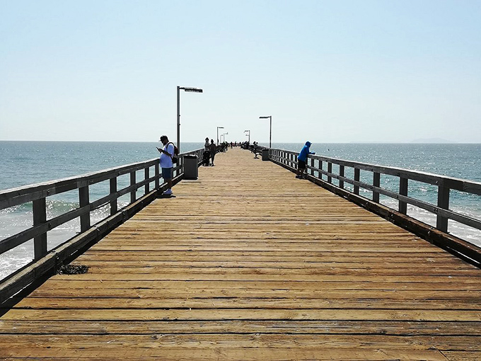 The wooden pier stretches toward the horizon like nature's runway. Sun-drenched planks invite leisurely strolls while fishermen patiently wait for the day's catch.