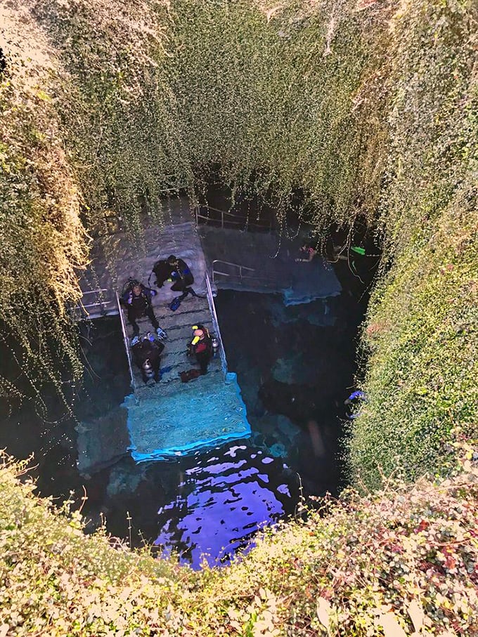 The platform beckons snorkelers into a prehistoric swimming pool. No chlorine needed&mdash;just 33,000 years of natural filtration.