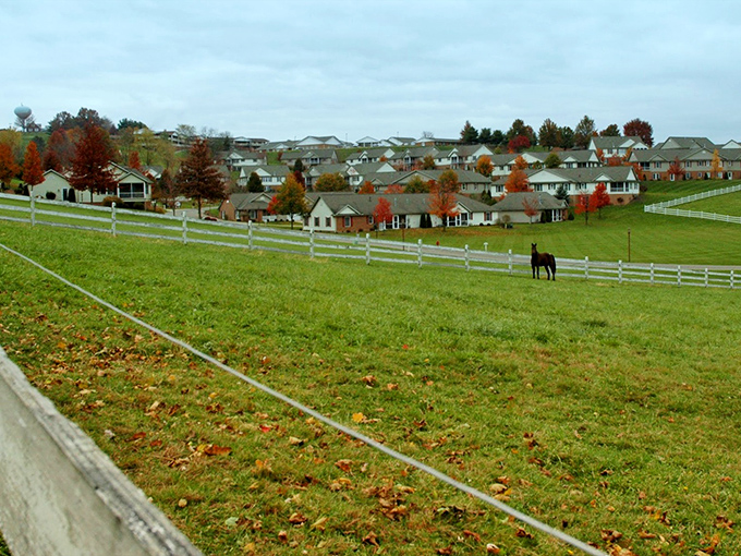 Fall's paintbrush transforms ordinary neighborhoods into extraordinary vistas, with that lone horse reminding us what "horsepower" originally meant.