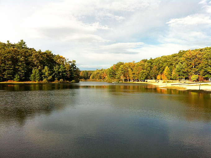 Whipple Dam's serene waters mirror the surrounding forest, creating that rare perfect symmetry that no Instagram filter could possibly improve upon.