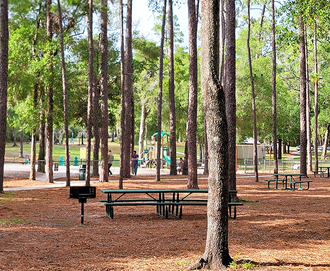 Picnic tables nestled among towering pines create natural dining rooms where the only reservation needed is the one you make with yourself.