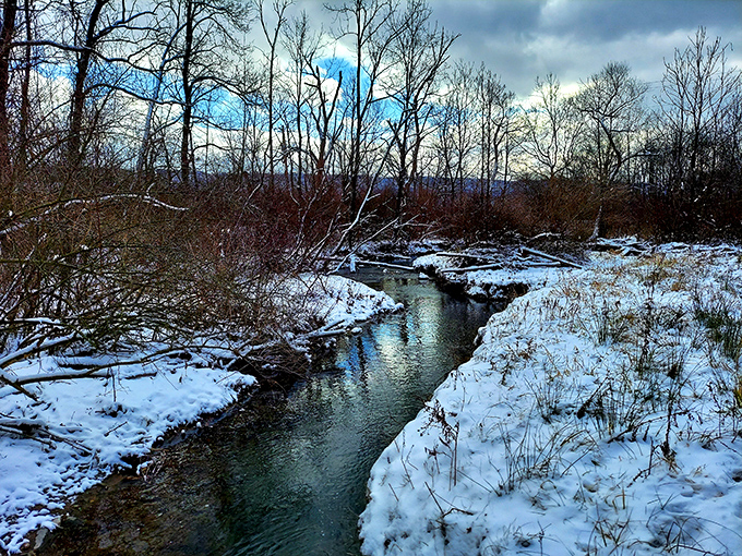 Winter's artistic collaboration with flowing water. This snow-lined stream creates a peaceful soundtrack that beats any meditation app you've downloaded.