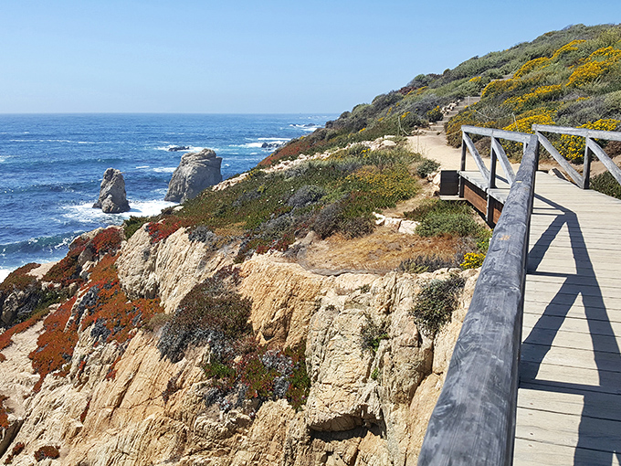 Follow the wooden path to views that make smartphone cameras weep with inadequacy. Some vistas simply demand to be experienced firsthand.