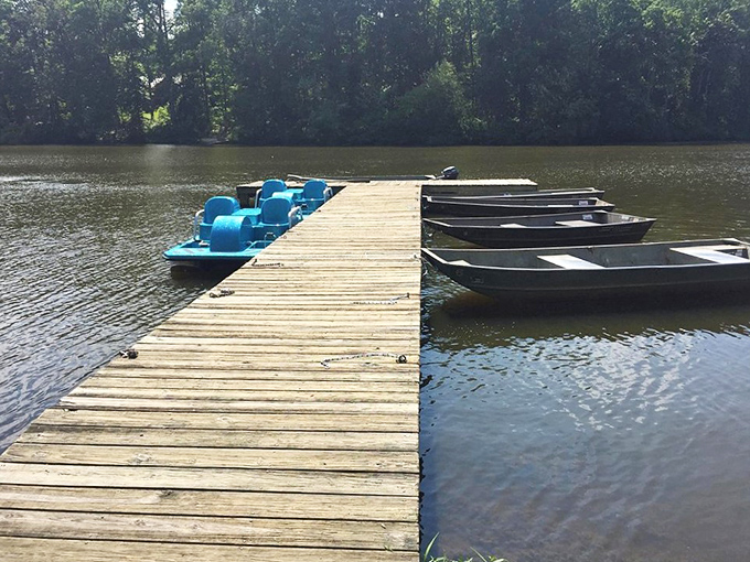 The gateway to adventure: this weathered wooden dock serves as both launching pad and welcome mat to Bear Creek Lake's liquid playground.