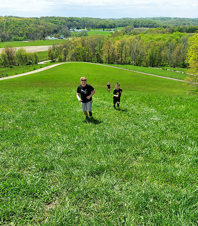 Childhood as it should be: unplugged, uphill, and utterly magnificent. No video game can compete with this playground.