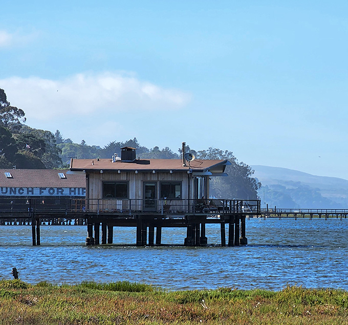 This waterfront restaurant offers the freshest catch and panoramic bay views. Tomales Bay's bounty served with a side of spectacular scenery.