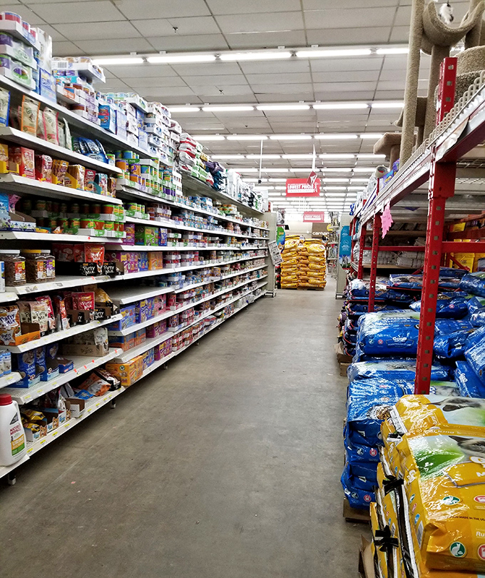 Wide corridors invite leisurely browsing, no rushing required in this nostalgic wonderland.