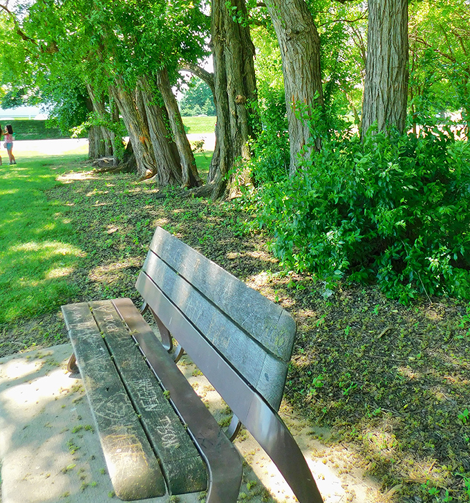 Thoughtfully placed benches invite visitors to sit and contemplate the curious juxtaposition of suburban development and agricultural heritage..