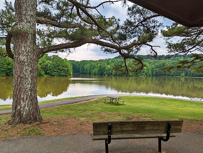 The perfect lunch spot doesn't exi&mdash; Oh wait, here it is, complete with million-dollar views that won't cost you a penny.