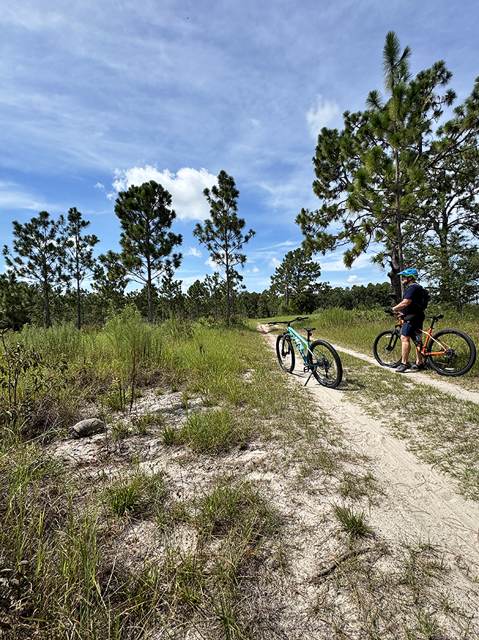 Two-wheeled wilderness exploration at its finest. These sandy trails offer mountain biking with Florida's signature flat learning curve.