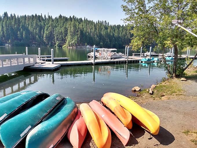 Your vessel awaits at this rustic marina where boat rentals meet mountain lake serenity.