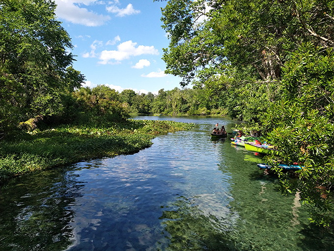 Paddling through Wekiwa's pristine waterways feels like gliding through a living postcard – one that can't be replicated with any Instagram filter.