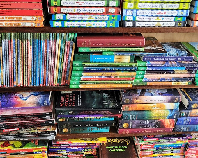 Literary treasures stacked floor to ceiling&mdash;from Percy Jackson to vintage classics. Proof that before Netflix binges, people binged on book series.