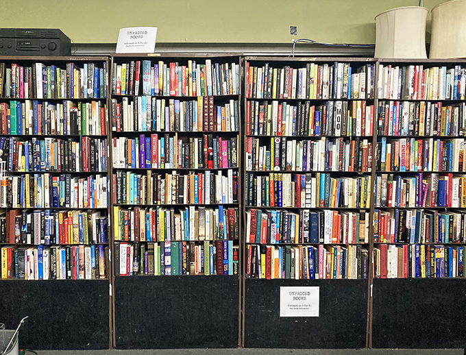 Literary heaven for bibliophiles on a budget. These shelves hold forgotten bestsellers, obscure gems, and that cookbook you didn't know you needed.