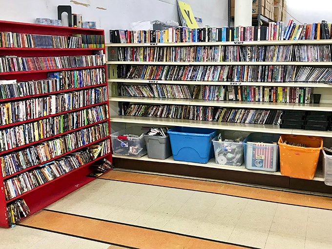 Literary adventures stack high where forgotten bestsellers wait patiently for their next devoted reader.