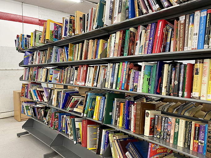 Literary treasures stacked spine-to-spine, where dog-eared paperbacks and forgotten bestsellers await their next reader for pocket change.