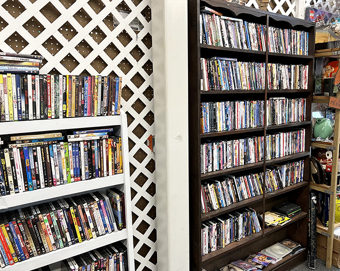 DVDs stacked like literary soldiers, ready to transport you to different worlds for movie night.