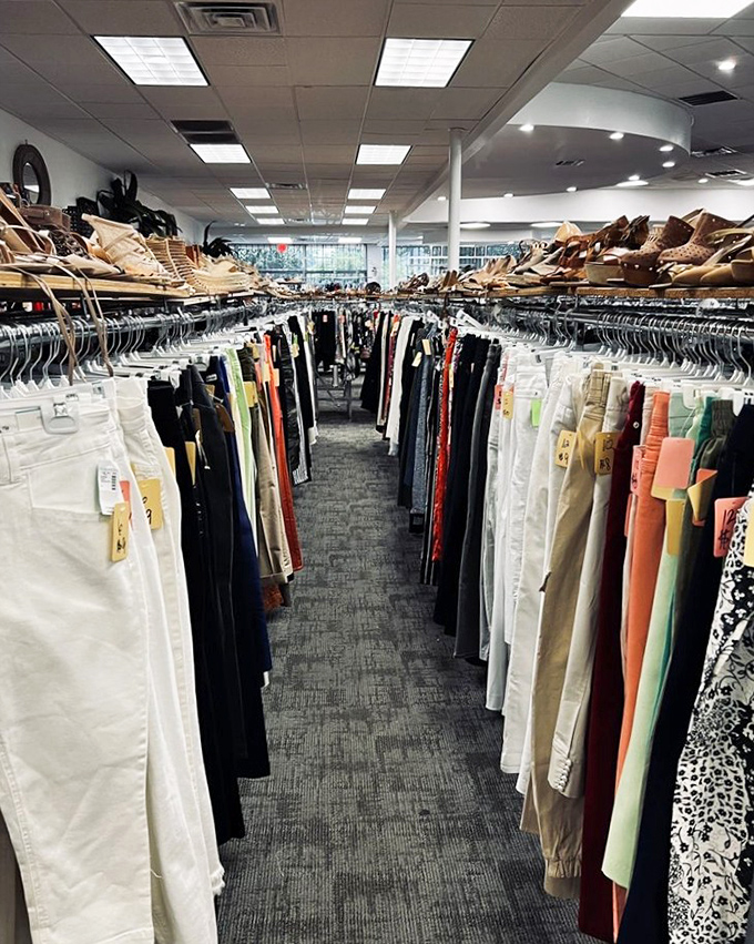 The promised land of organized clothing. Like Darwin's finches, each garment has evolved to find its perfect place on the rack.
