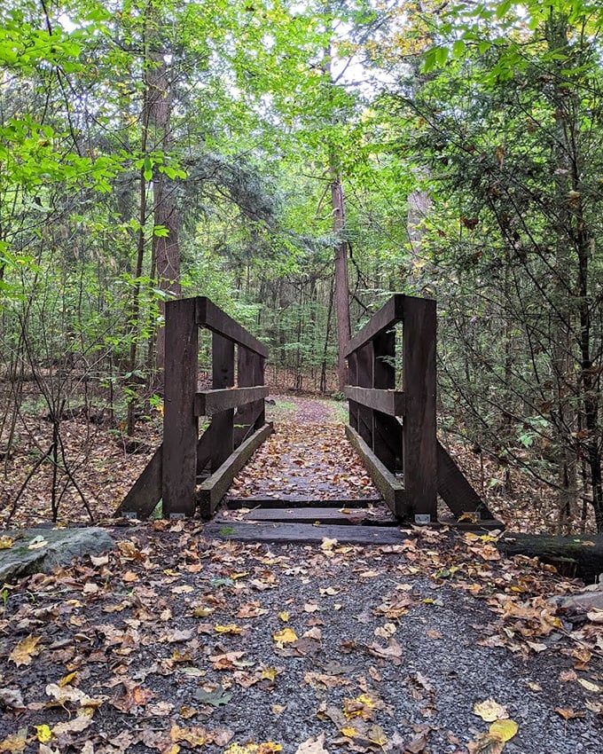A bridge to wilderness adventures. Cross over and leave behind the world of artificial light and Netflix binges.