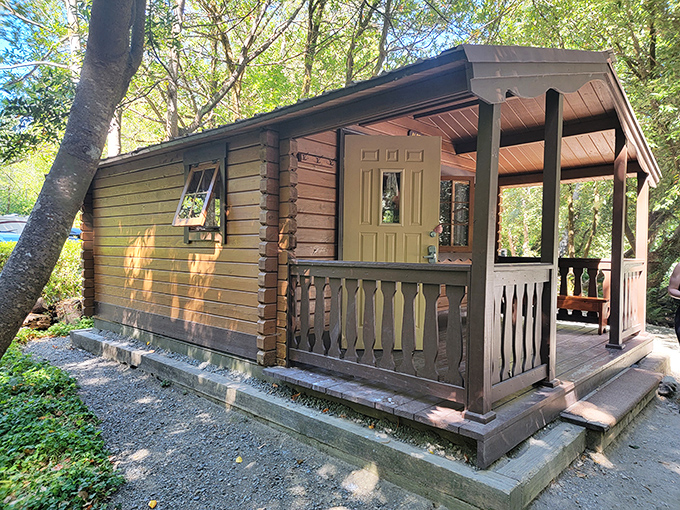 Cabin life at its finest&mdash;where rustic charm meets actual comfort. This isn't roughing it; it's smoothing it with a roof and walls.