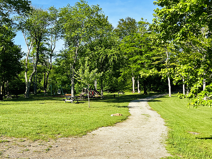 Green cathedral spaces where picnic tables invite family gatherings and memories are made between bites of sandwiches and laughter.