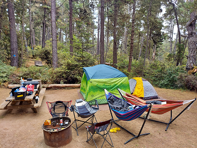 Camping: where you spend a fortune on gear to live like someone who can't afford a house. Worth every penny for mornings like this.