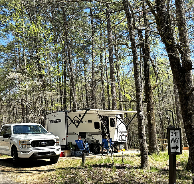 Camping with conveniences &ndash; where wilderness meets comfort. This RV spot offers the perfect compromise for nature lovers who still appreciate indoor plumbing.