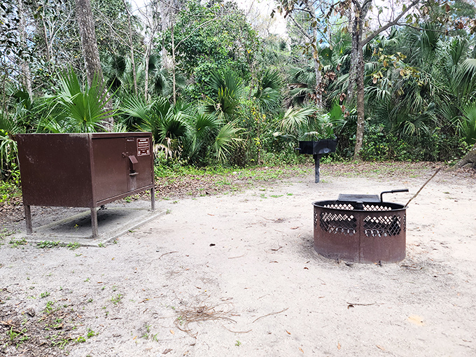 Camping simplified: one fire ring, one grill, endless stars overhead. No room service, but the view beats any five-star resort.