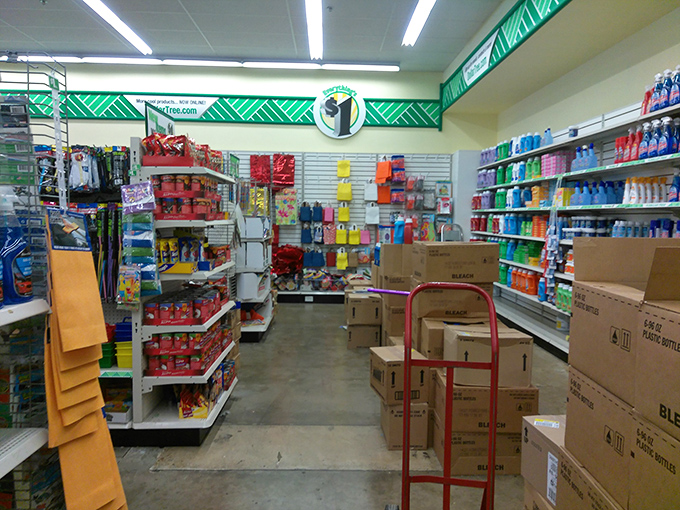 Pantry staples and cleaning essentials stand at attention, ready to rescue dinner plans and spills with equal efficiency and minimal expense.