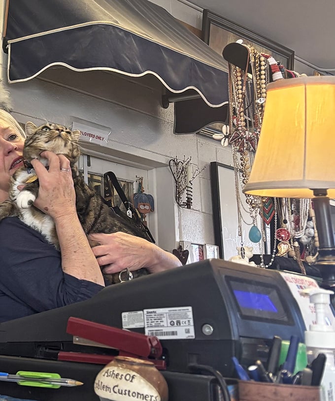 Every thrift store has its guardian&mdash;this feline employee seems to take quality control very seriously, inspecting each treasure that crosses the counter.