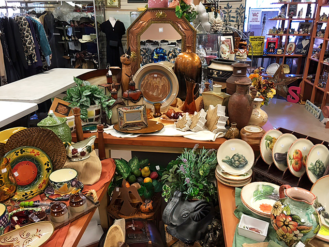 A lineup of vintage televisions stands as a monument to entertainment history, silently reminiscing about the days before streaming and binge-watching.