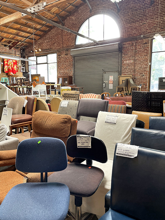 Office chairs, dining chairs, and "what exactly is that chair?" all gathered like an eccentric furniture support group.