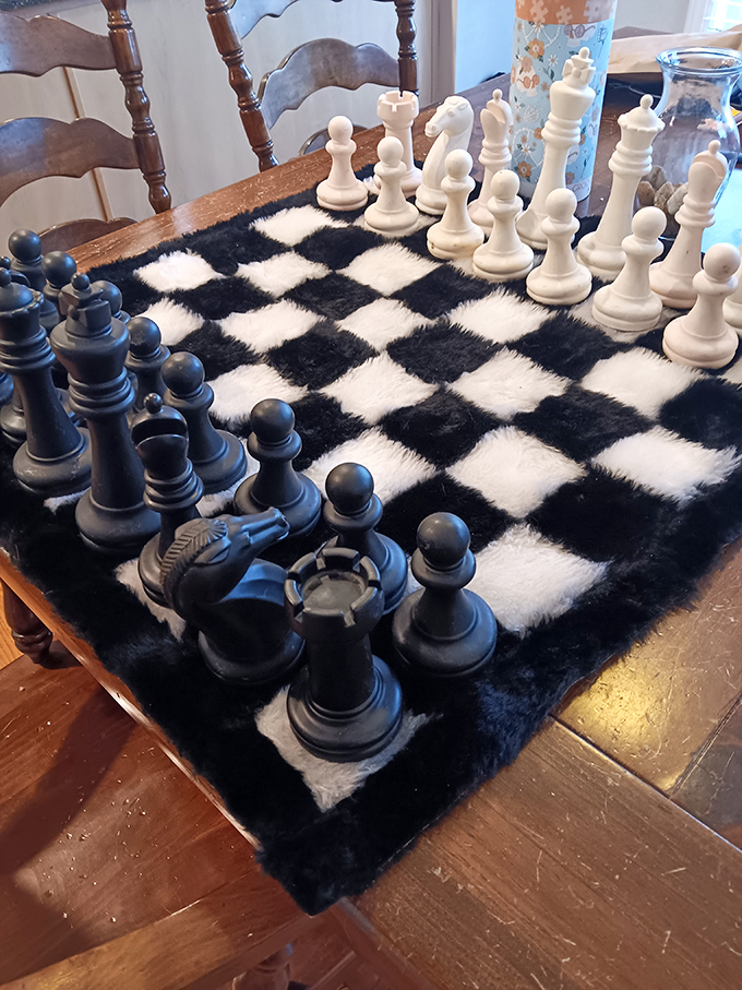 Chess, but make it luxe. This fur-covered board turns an intellectual pursuit into a tactile pleasure. Checkmate never felt so plush.