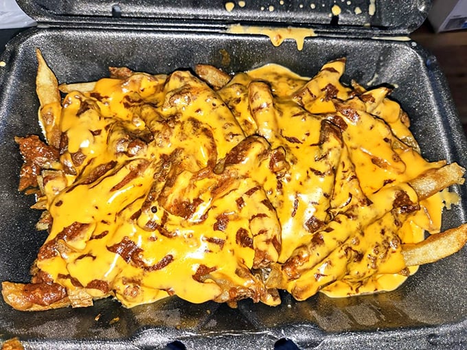 Golden fries drowning in cheese sauce like a delicious avalanche you actually want to be caught in.