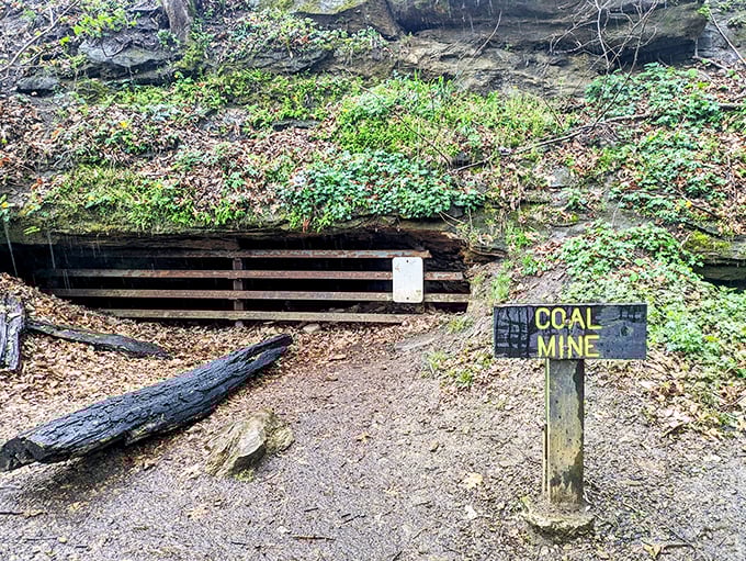 "Coal Mine" reads the sign, but it might as well say "Portal to Indiana's Industrial Past." The entrance looks like something hobbits would design if they went into mining.