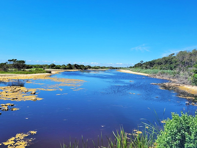 Sunlight transforms ordinary water into liquid sapphire. This coastal lagoon looks like it was designed by an artist with an unlimited blue budget.