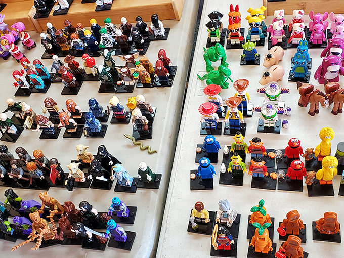 Tiny collectible figures lined up like colorful armies. One person's childhood nostalgia is another's collecting obsession waiting to happen.