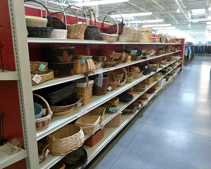 Basket paradise! From picnic-ready to storage solutions, these woven wonders are the organizational tools your cluttered closets have been dreaming about.