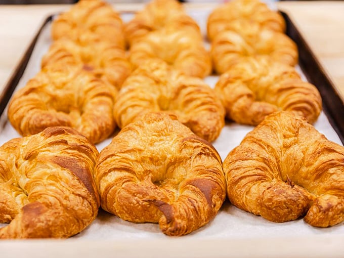 Golden croissants lined up like delicious soldiers, their buttery layers standing at attention, ready to report for breakfast duty.