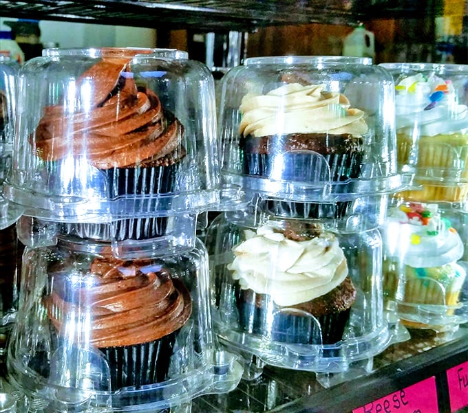 Individual cupcakes in protective domes, each one a perfect little celebration waiting for the right moment to shine.