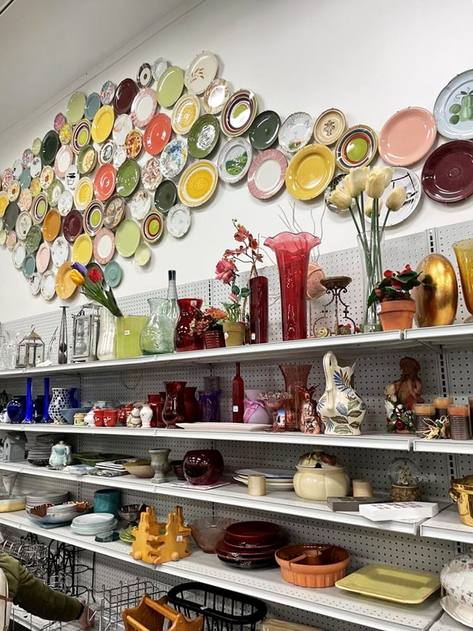 The plate wall installation transforms everyday dishware into a stunning artistic statement, proving one person's discard is another's d&eacute;cor inspiration.