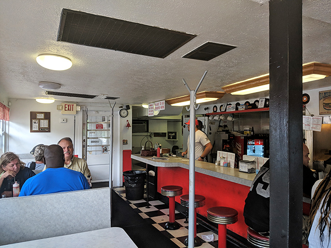 The dining room buzzes with the comfortable energy of people who've discovered something truly special together.