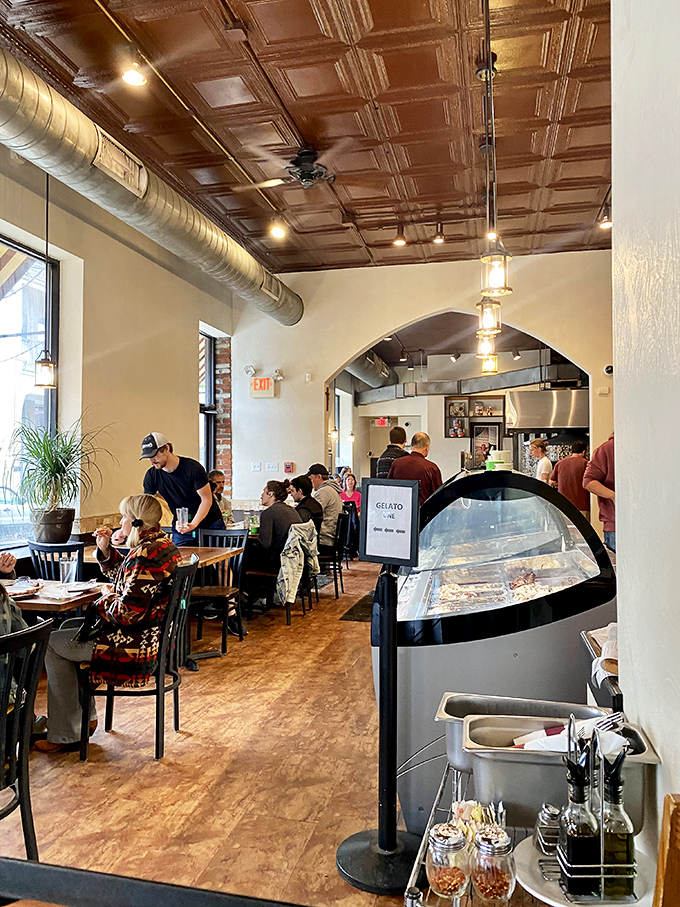 The dining room buzzes with the universal language of good food. That ornate ceiling isn't the only thing elevated here—expectations are too.